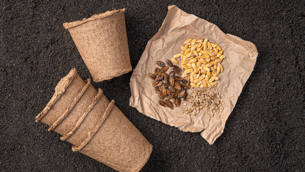 How to Use Plantable Seed Paper | 6 Tips for Maximum Growth